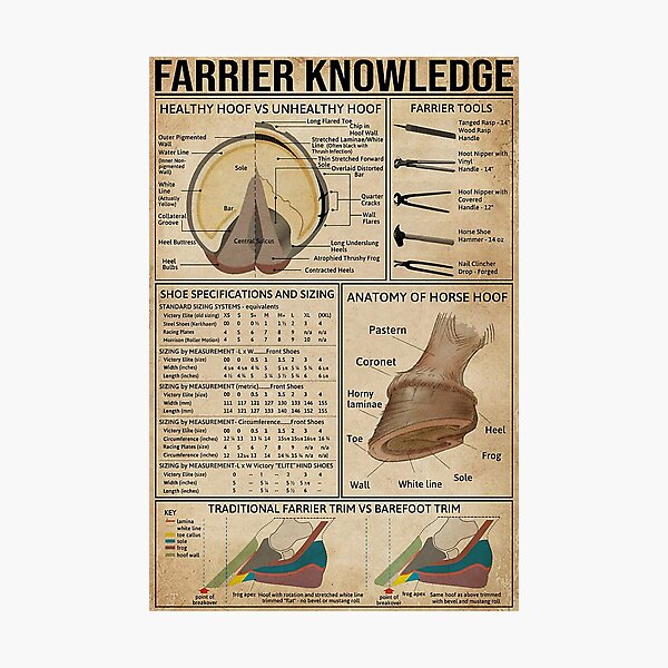 "Farrier Knowledge" Photographic Print for Sale by KnowledgeArt | Redbubble