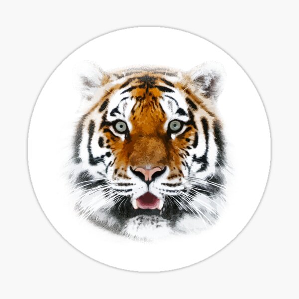 "Tiger eyes" Sticker by EfranDesign | Redbubble