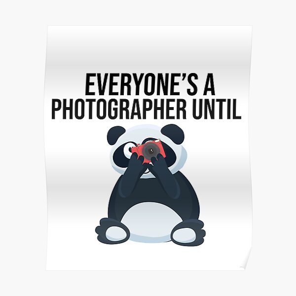 "Everyone is a Photographer Until, Funny Photography, Panda Humor ...