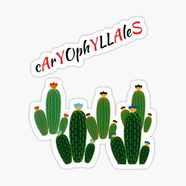 Caryophyllales Gifts & Merchandise for Sale | Redbubble