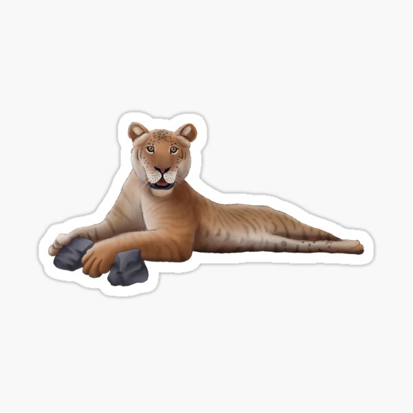 "Liger Laying Down" Sticker for Sale by troyanthonyart | Redbubble