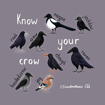 "Know your Crow" Greeting Card for Sale by Elliestrations | Redbubble