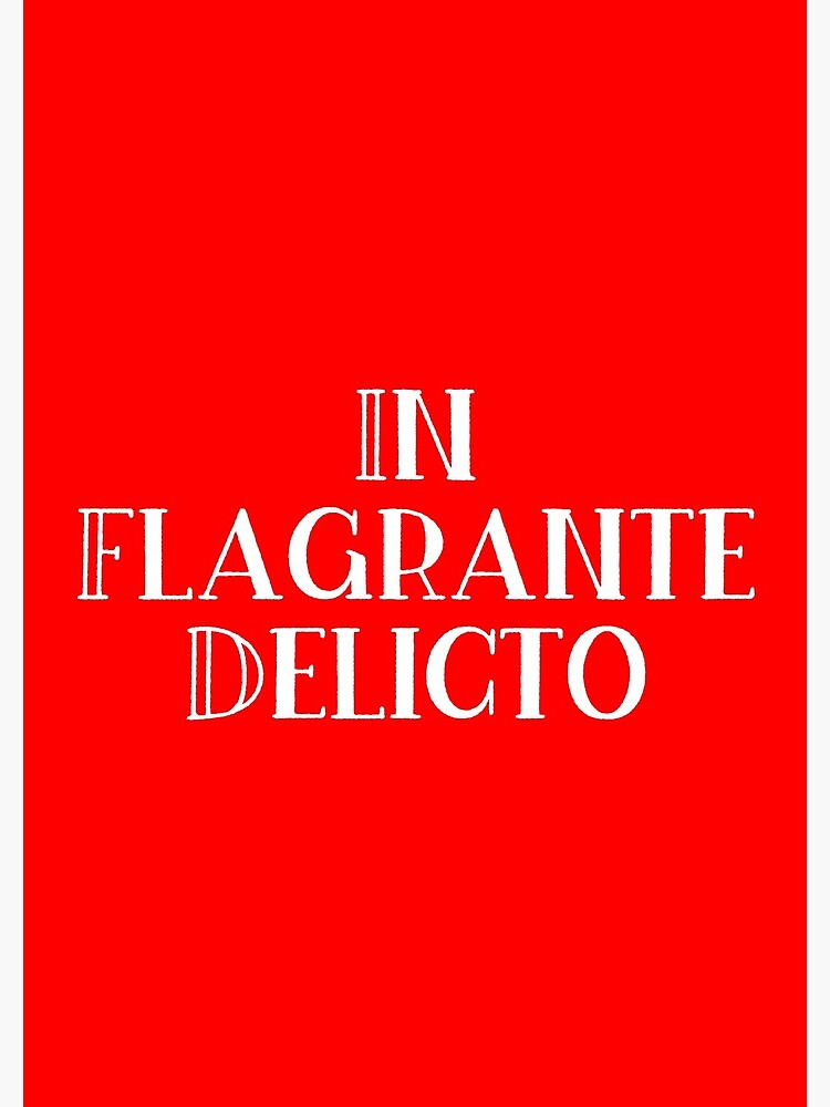 "In Flagrante Delicto" Spiralblock von StillInBeta | Redbubble