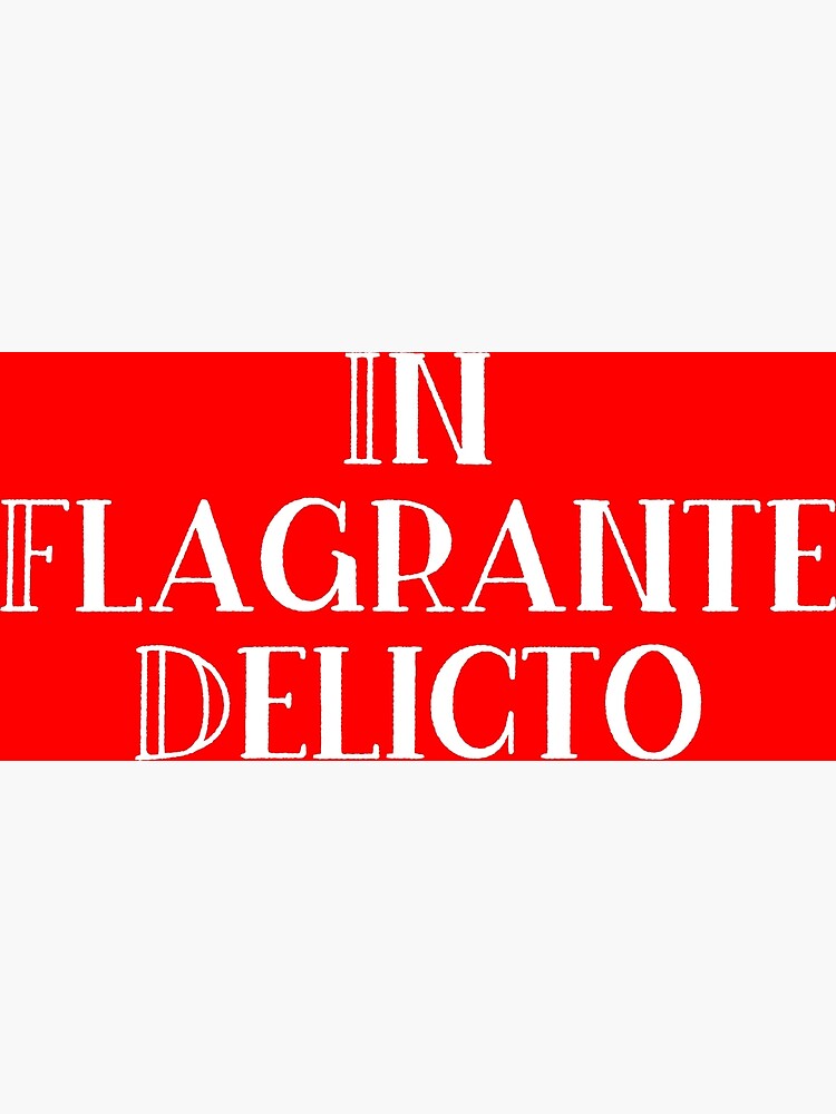 "In Flagrante Delicto" Art Print for Sale by StillInBeta | Redbubble