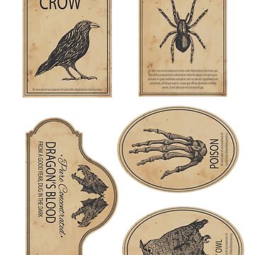 "Halloween Potion Bottle Labels Sticker Pack (Separated) - Witches ...