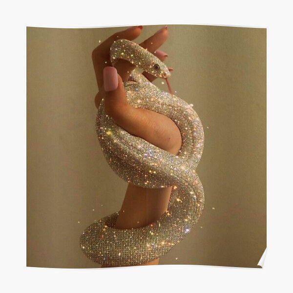 "The Snake" Poster for Sale by trouvaiilx | Redbubble