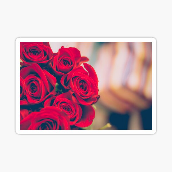"Romantic Red Roses" Sticker for Sale by Blackspark09 | Redbubble