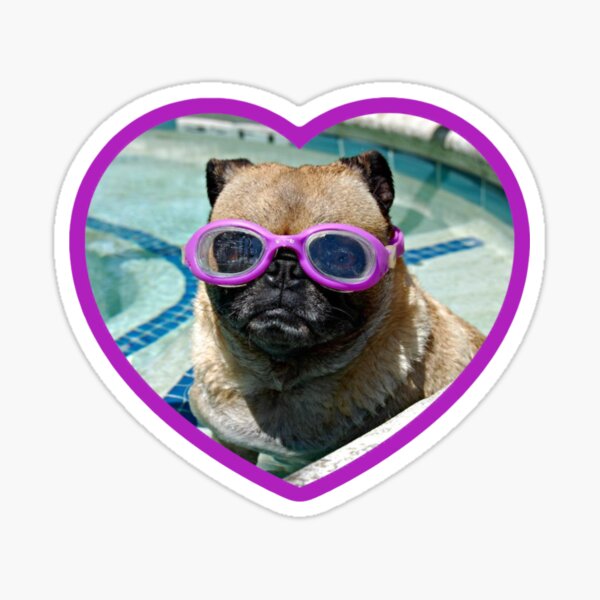 "dog stickers: swimmer dog" Sticker by fatimaburga | Redbubble