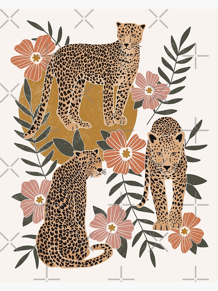 "Jungle Leopard Illustration " Poster for Sale by Jamie Maher | Redbubble