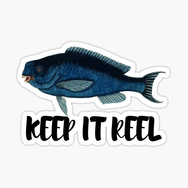 "keeping it reel fishing" Sticker by berenger04 | Redbubble