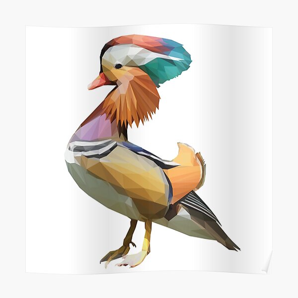 "Polygon Mandrake Duck" Poster for Sale by incomplet | Redbubble