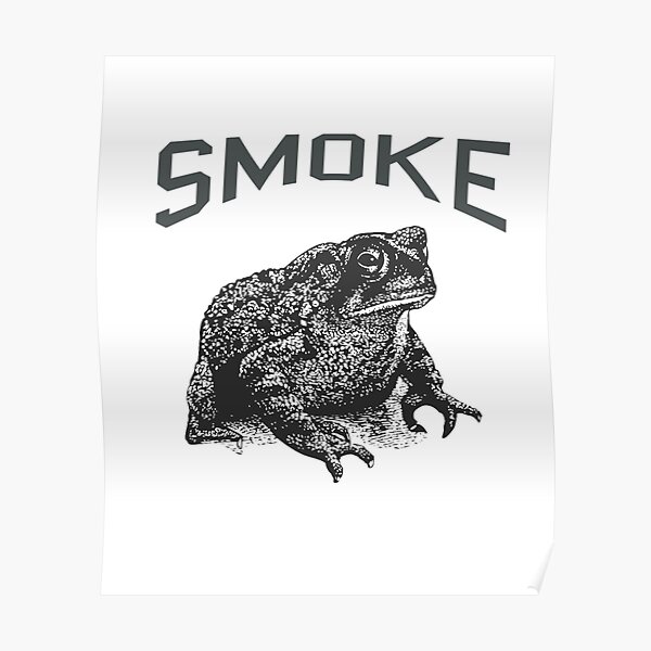 Psychedelic Toad Posters | Redbubble