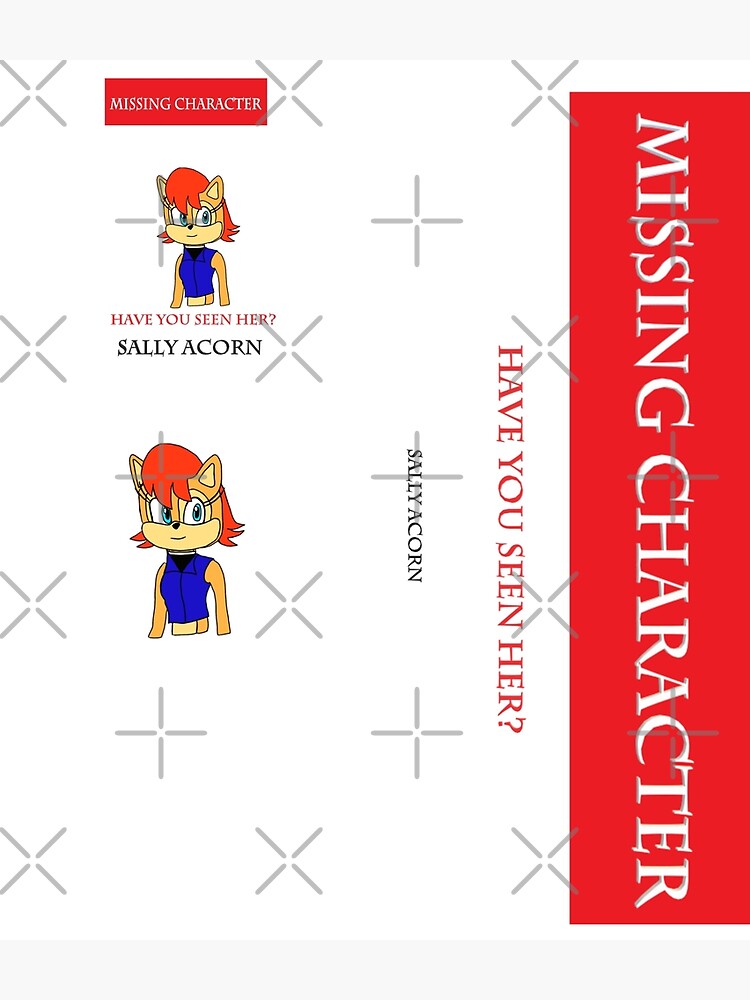 Missing Character Backpack, Sonic The Hedgehog Backpack