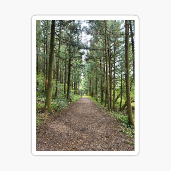 "Samdasoo Forest Road, Jeju Island, Korea." Sticker for Sale by ...