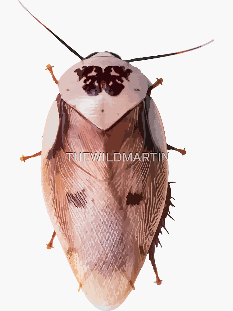 "Centurion Roach" Sticker for Sale by THEWILDMARTIN | Redbubble