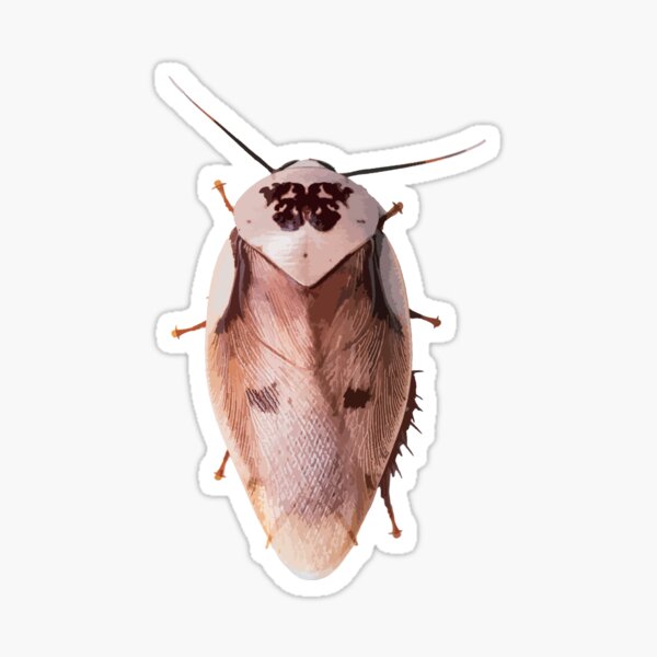 "Centurion Roach" Sticker for Sale by THEWILDMARTIN | Redbubble