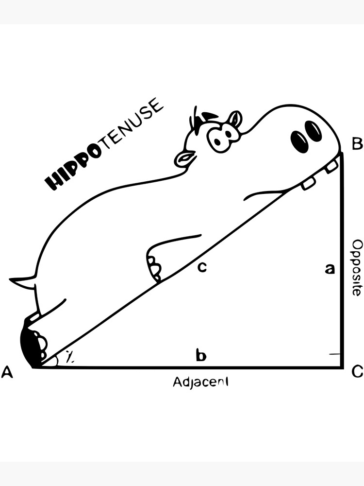 Nerd Geometry Hippotenuse Hypotenuse Funny Premium Matte Vertical ...