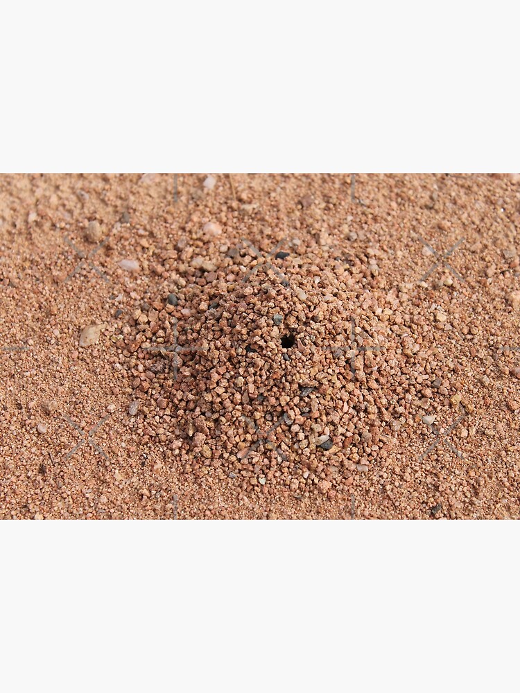 "Arizona ant hill" Poster by MagicalBrtakins | Redbubble