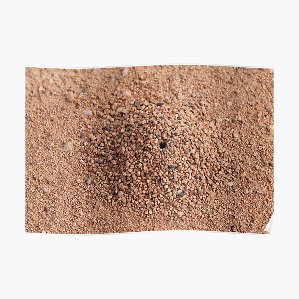 "Arizona ant hill" Poster by MagicalBrtakins | Redbubble