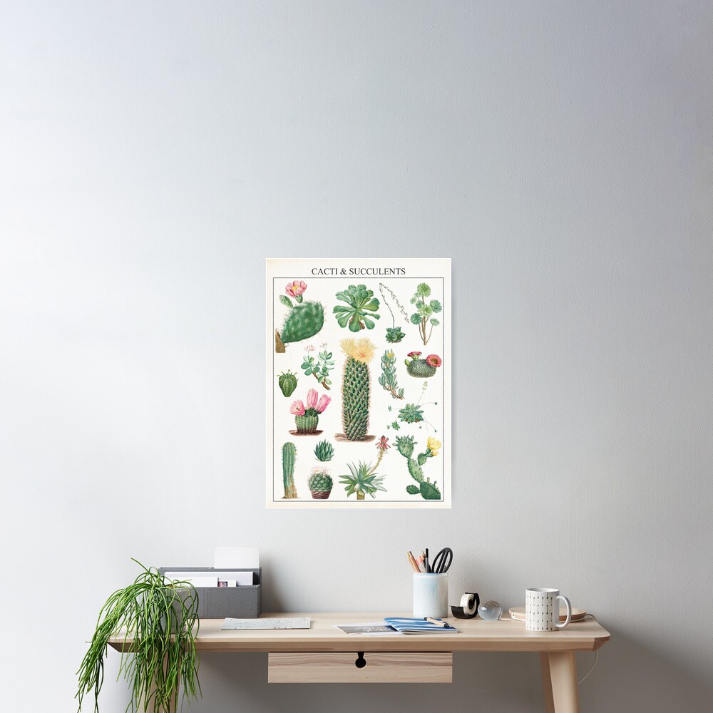"Cacti & Succulents" Poster by arisabi | Redbubble