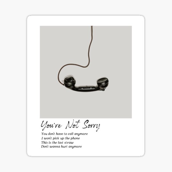 "You're Not Sorry - Taylor Swift" Sticker for Sale by nd-creates ...