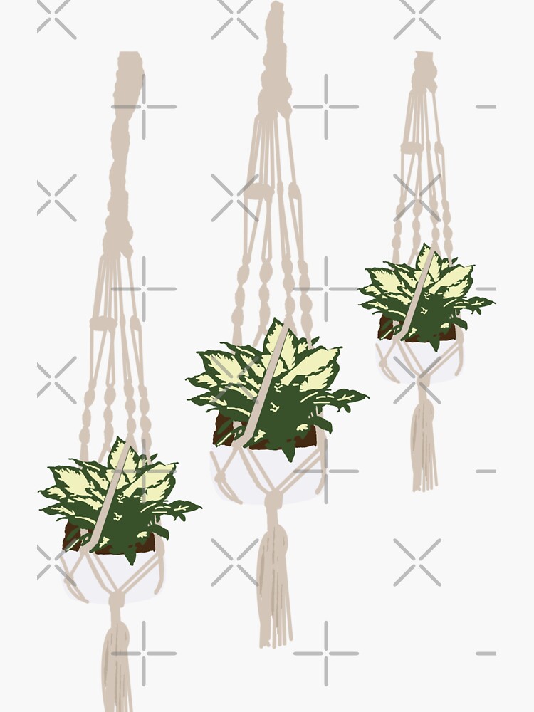 "Hanging plants" Sticker for Sale by LizBach | Redbubble