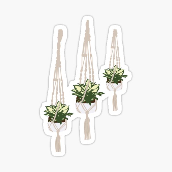 "Hanging plants" Sticker for Sale by LizBach | Redbubble