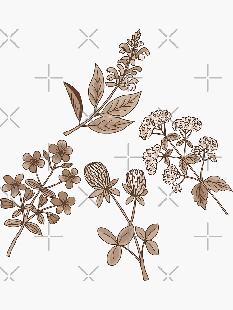 "hazel berry" Sticker for Sale by teesBYAlioui | Redbubble
