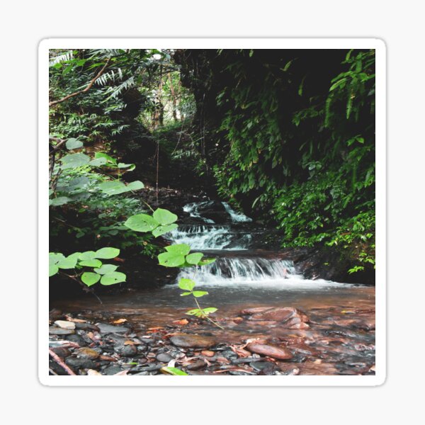 "Forest around the brook" Sticker by Mariolangstieh | Redbubble