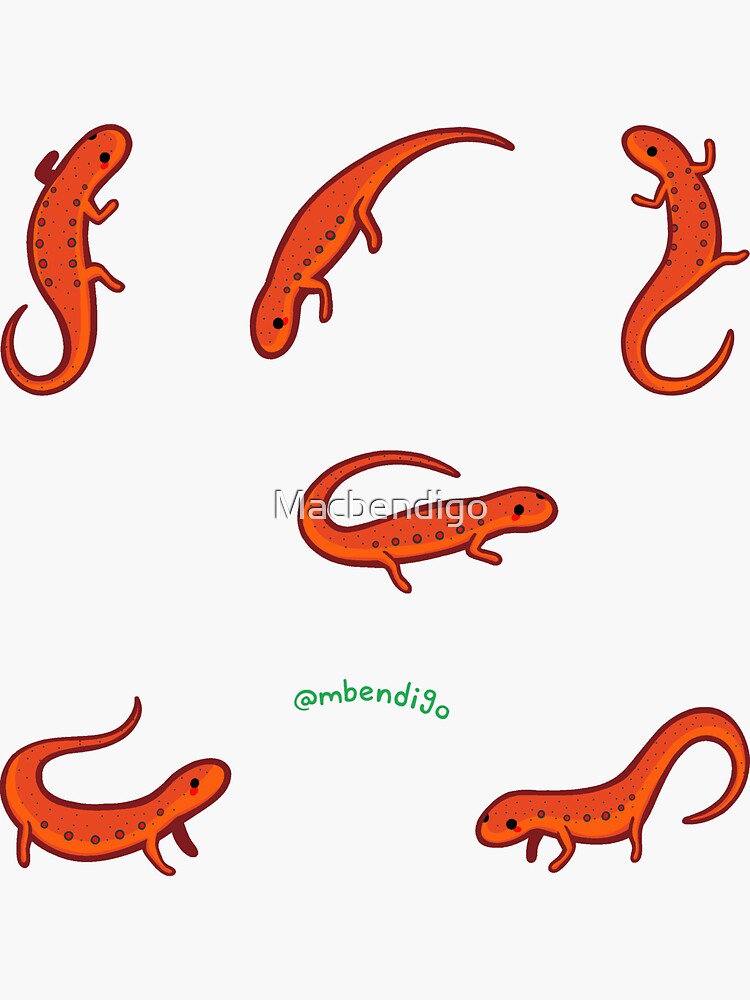 "Red Eft " Sticker for Sale by Macbendigo | Redbubble