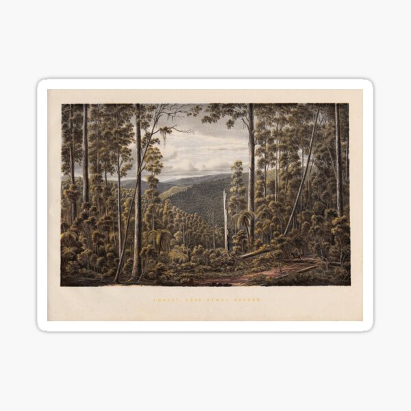 "Cape Otway, Great Ocean Road in the 1800's" Sticker for Sale by ...