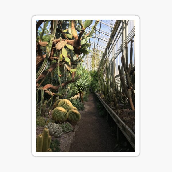 "Spiky collection" Sticker for Sale by Simpleformat | Redbubble