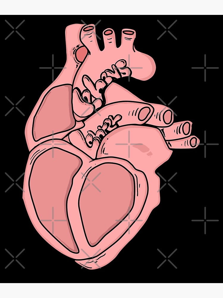 Lámina fotográfica «Corazón anatómico Ilustración cómica del motor ...