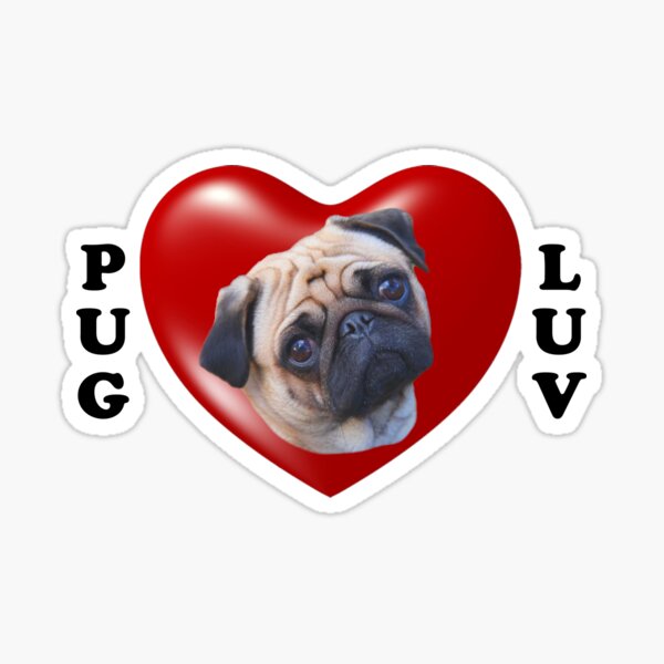 "Pug Luv" Sticker for Sale by Taliesin-Shop | Redbubble