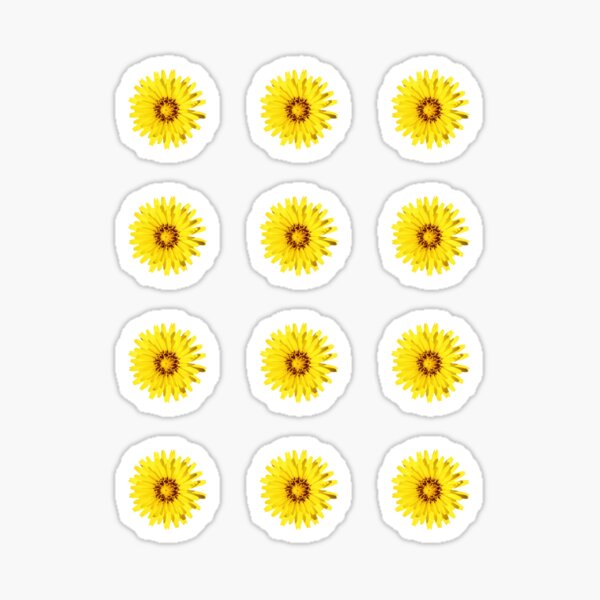 "Yellow Daisy" Sticker by STHogan | Redbubble