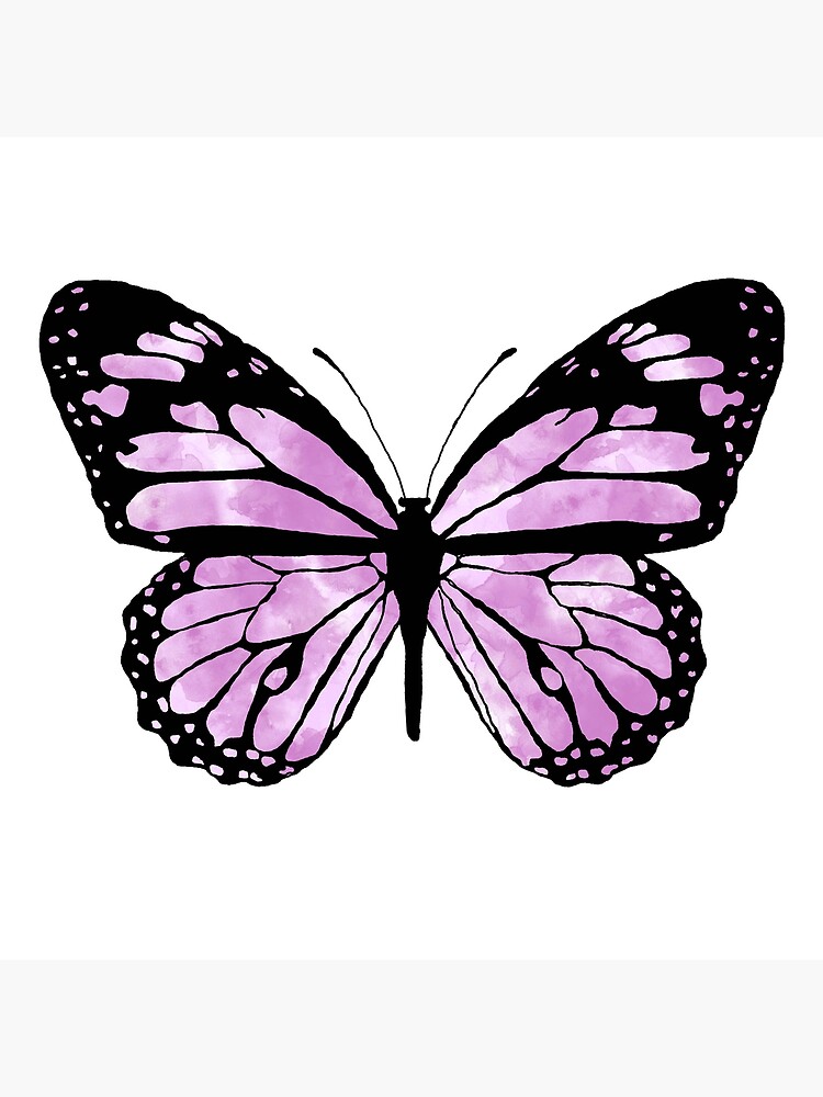 "Light Purple Butterfly" Poster for Sale by hanstrickland99 | Redbubble