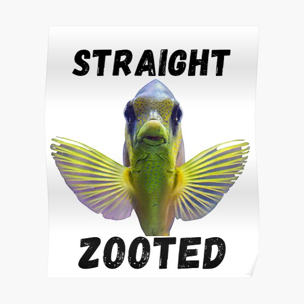 Póster «Pez Zooted Recto Tendencia Peces Zooted Dibujos Animados» de ...
