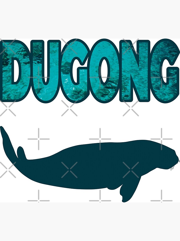 "dugong" Poster by shimodesign | Redbubble