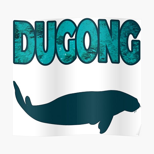 "dugong" Poster by shimodesign | Redbubble