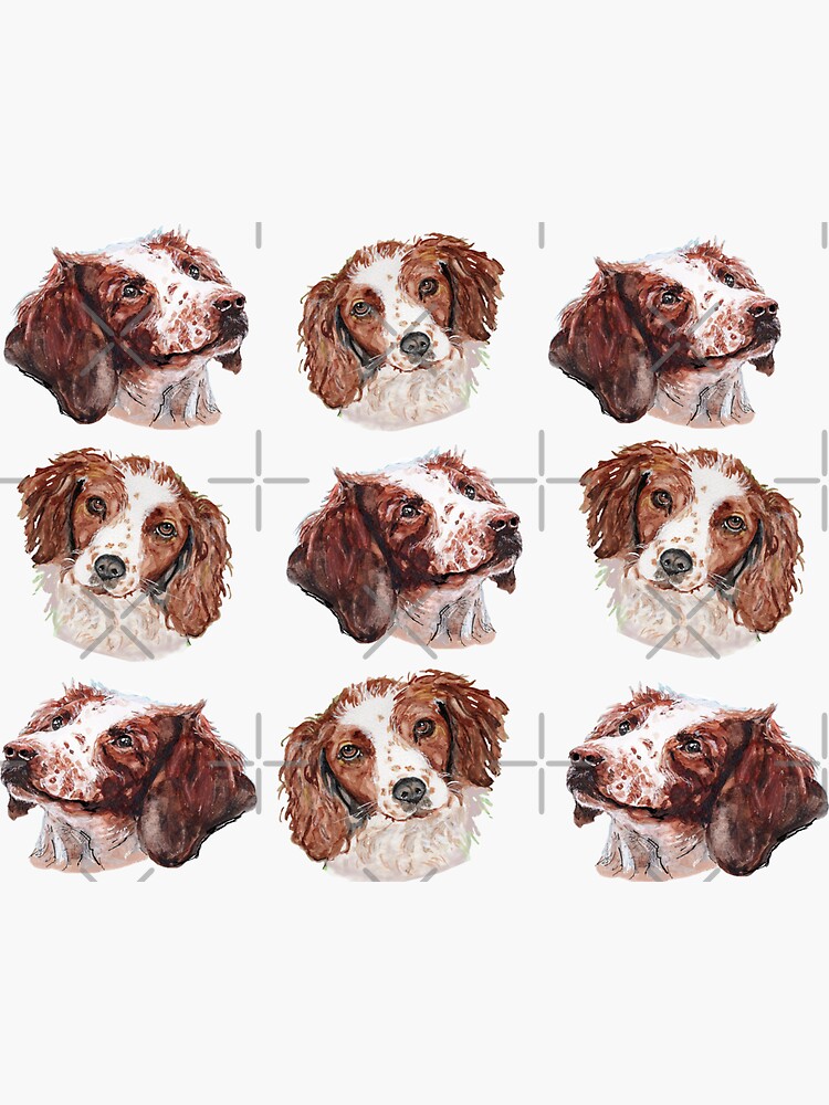 "dog, stickers, board, spaniels" Sticker for Sale by voicivoila | Redbubble