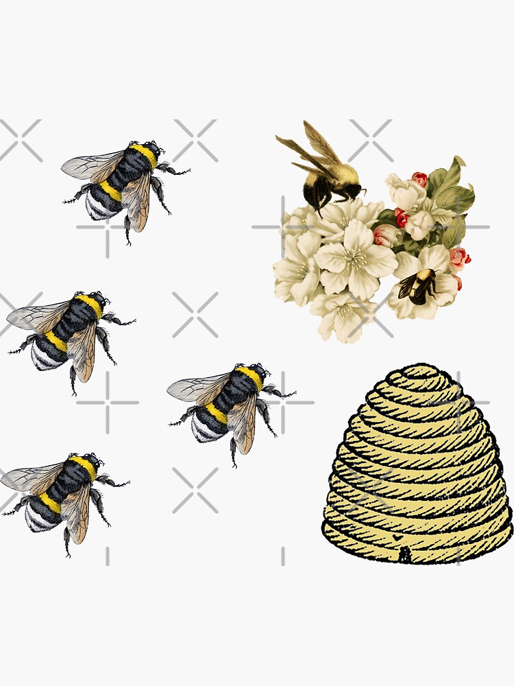"Bumblebee Sticker Sheet - Five Piece Pack" Sticker for Sale by elevens ...