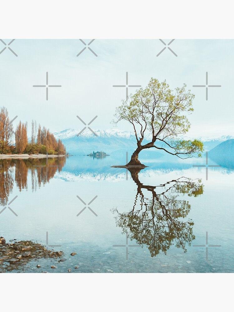 "Wanaka Tree New Zealand" Poster by ind3finite | Redbubble