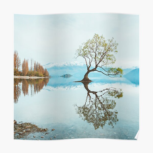 "Wanaka Tree New Zealand" Poster by ind3finite | Redbubble