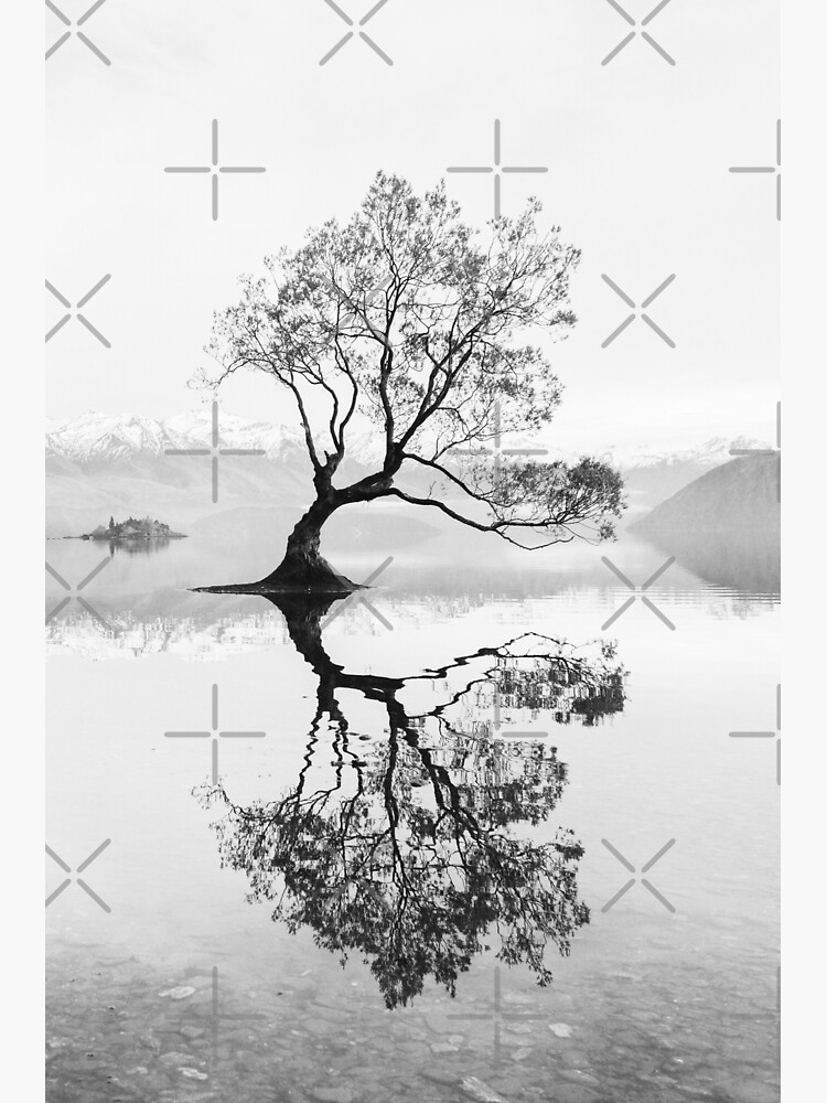 "Wanaka Tree New Zealand Landscape Black And White" Poster for Sale by ...