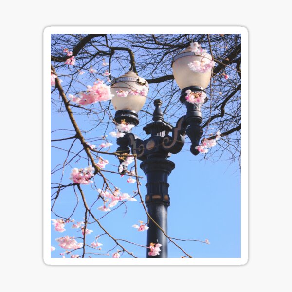 "Cherry Blossom Lamppost " Sticker for Sale by JLPhotographer | Redbubble