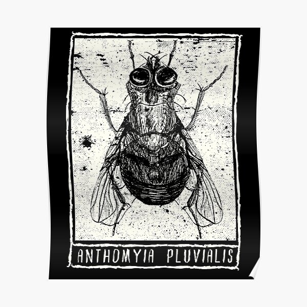 "Dark Fly Tarot Card" Poster for Sale by PatternsByMaria | Redbubble