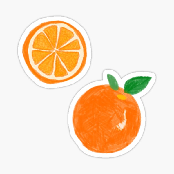 "Cute Orange And Orange Slice" Sticker for Sale by rinah13art | Redbubble