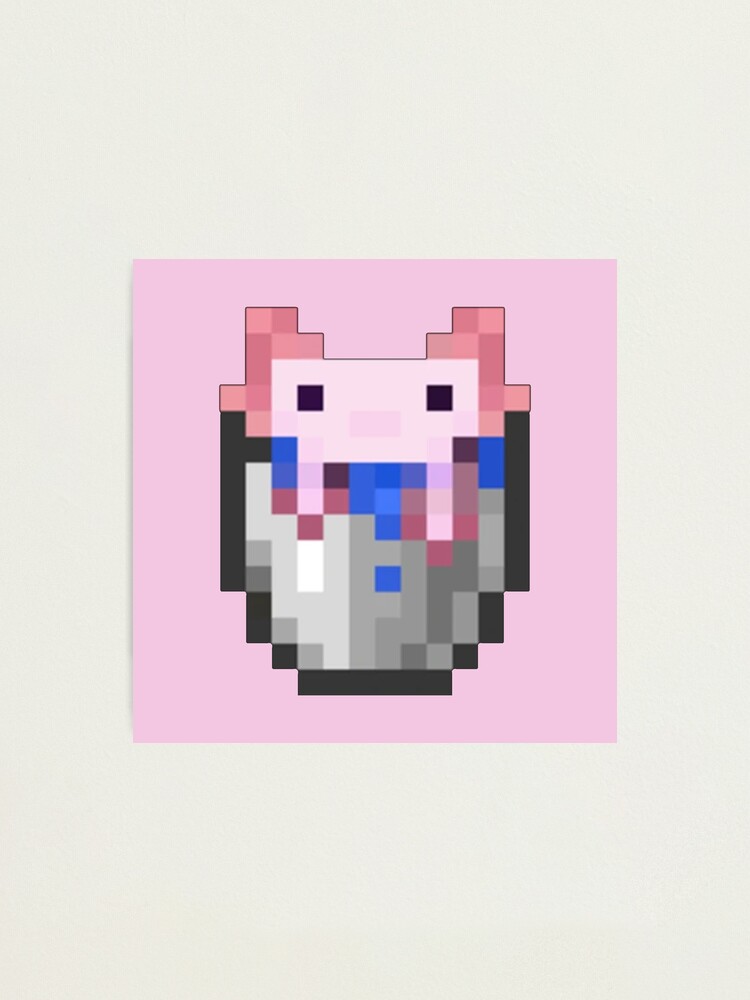 Impression photo « Seau Axolotl - Objet Minecraft », par -Panda-Monium ...