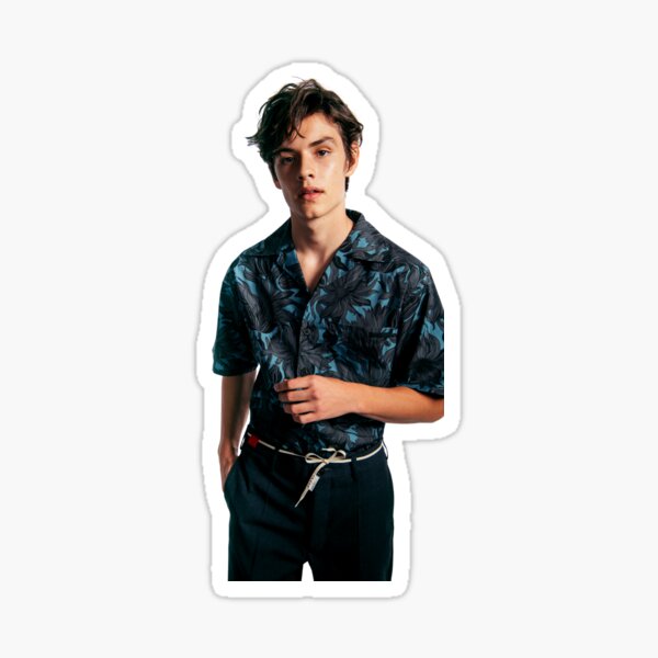 "Louis Partridge" Sticker for Sale by narcocynic | Redbubble