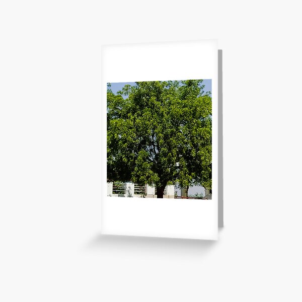 "Red Bubble,Art design work, Nature photography,new innovative ...